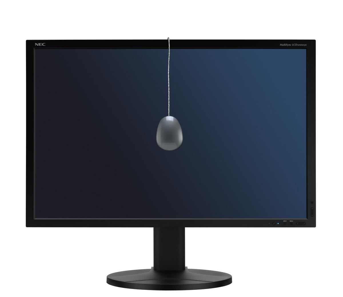 30-Zoll-Monitor von NEC | Mac Life