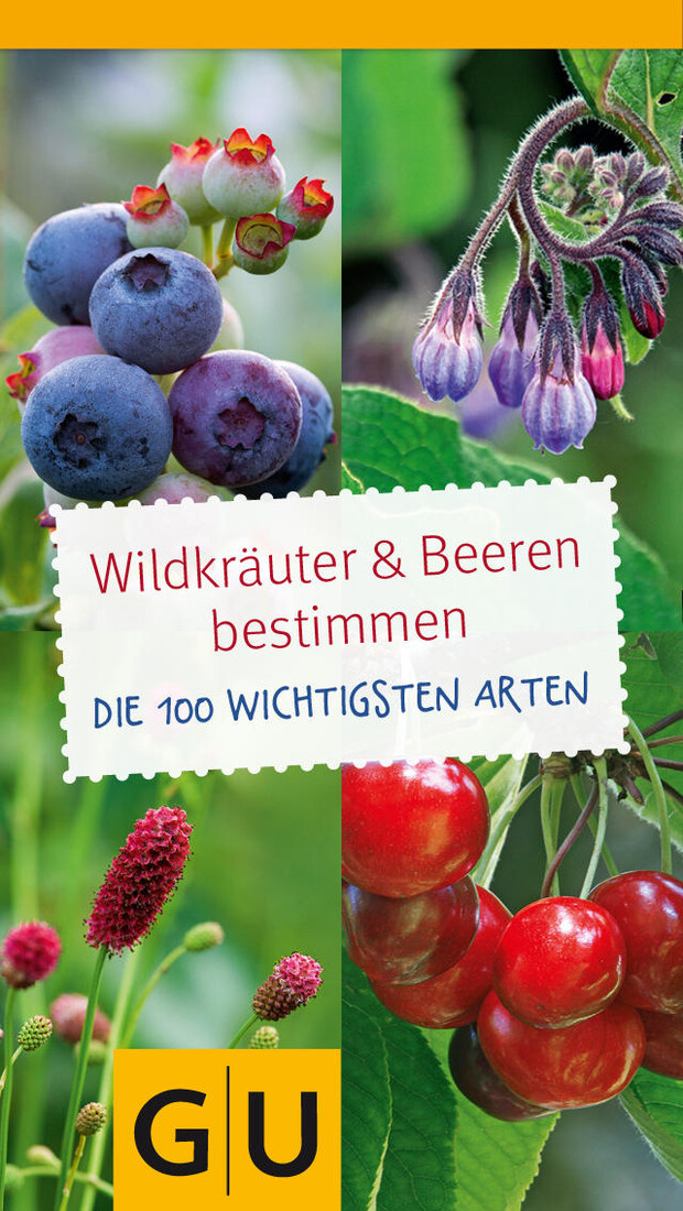 Wildkräuter & Beeren bestimmen – die 100 wichtigsten Arten entdecken ...