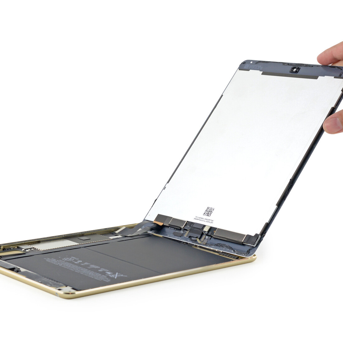 iPad Air 2: iFixit findet kleineren Akku, 2GB Arbeitsspeicher und 3-Kern-Prozessor vor | Mac Life