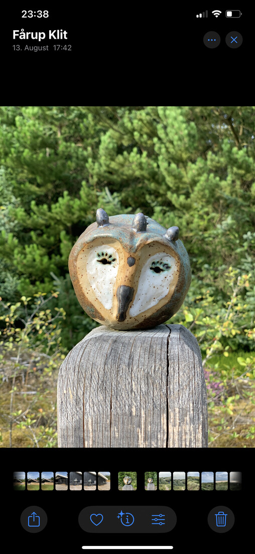 Einfaches Foto-Management | Mac Life