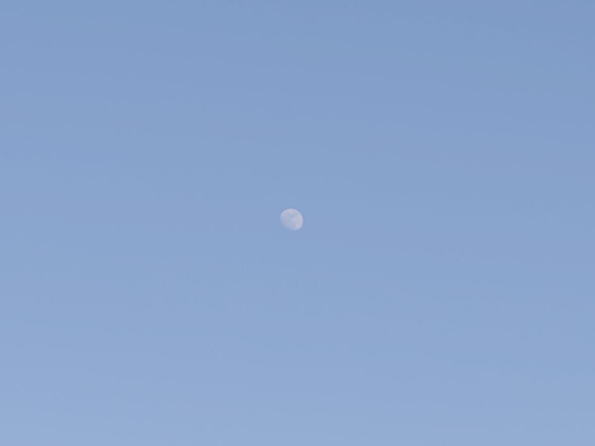 Den Mond mit dem iPhone fotografieren: So klappt’s besser | Mac Life