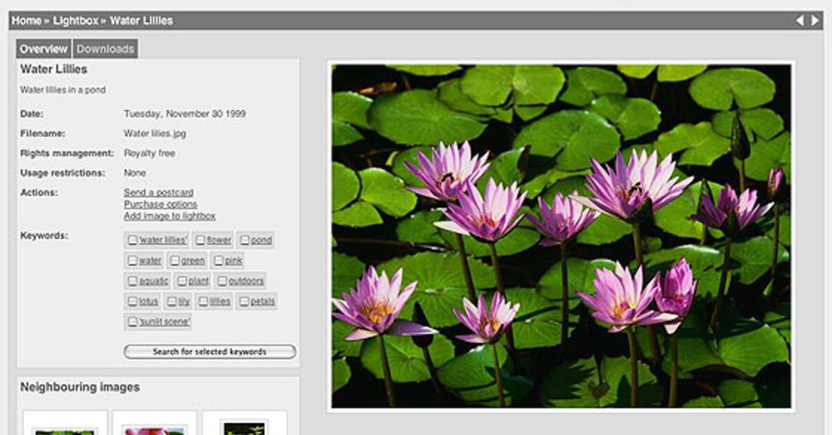 Update: Online-Bildarchivlösung Pixeria 2.0 | Mac Life